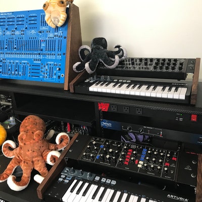 Arturia Keystep and Synth Rack Stand Behringer Pro-800, Model D ...