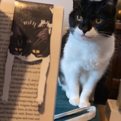 Funny Descartes Philosophy Birthday Card - Etsy