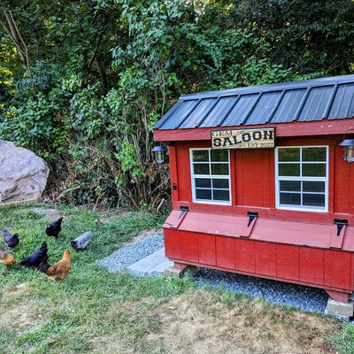 009 Rooster Fish Wall Art Vacation Beach Ocean Lake House - Etsy