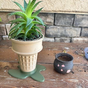 Wall Planter the Wall Poppy With Hidden Drip Tray - Etsy