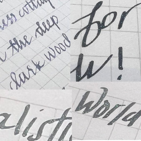 Troublemaker Freedom Park Rose Standard Fountain Pen Ink 60ml - Etsy