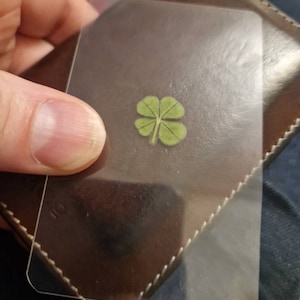 LAMINATED Lucky Real Five Leaf Clover From the White Clover - Etsy