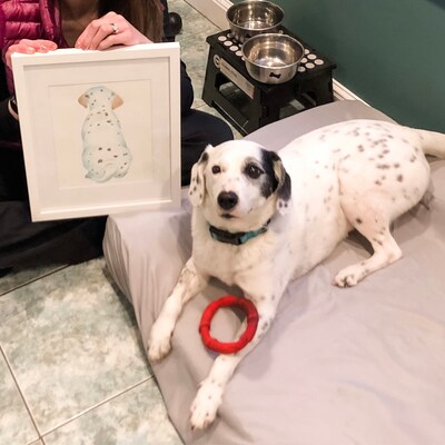 Bijon Art Bijon Drawing ORIGINAL Drawing Bijon Sketch Dog - Etsy