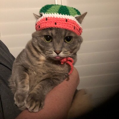 Sunflower Hat for Cat, Knitted Sunflower Pet Costume, Cat Outfit ...