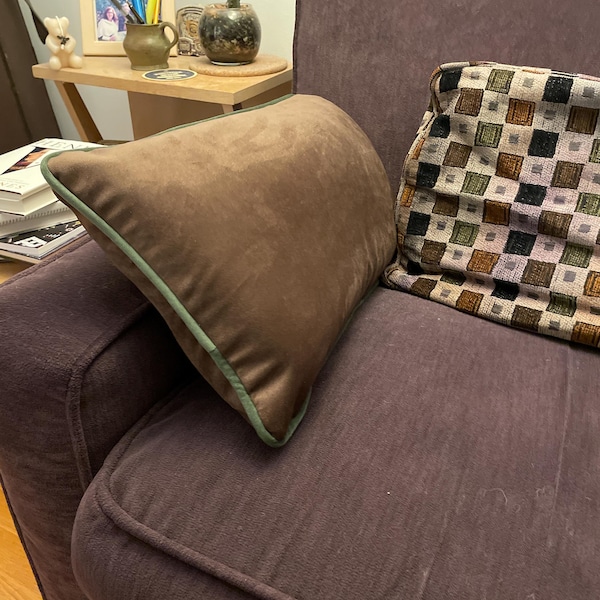 Paw Proof Velvet Pillow Cover * Piping Velvet Throw Pillow ...