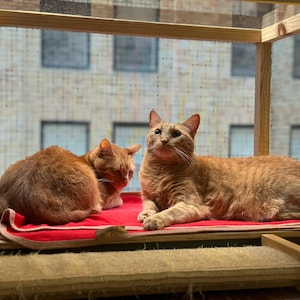 Catio DIY Digital Plan Window Box for Cats - Etsy