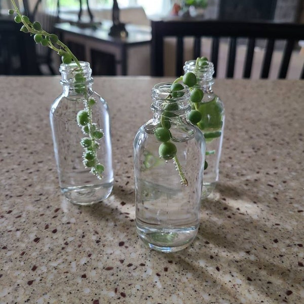 Set of 3 Propagation Jars - 3.4 Ounces, With Cork Lids. - Etsy