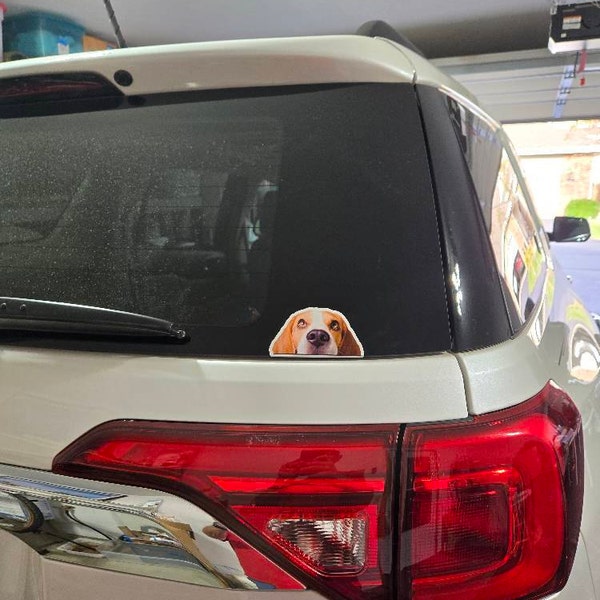 Realistic Gray Husky Sticker Decal / Peeking Siberian Husky Face Window ...