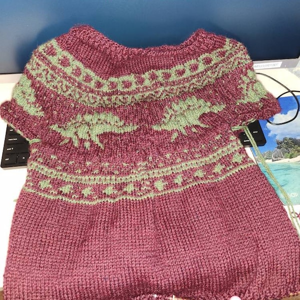 Stego Sweater (adult) Pattern, Knit Dinosaur Unisex Sweater, Digital ...