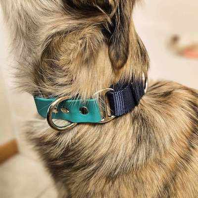 Biothane Tab or Bringsel Pick Your Color 1/2 Wide Heavy Weight, 8 Long ...