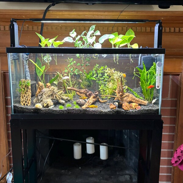 Finnex Stingray Original LED Light Riser, Attractive Stable Elevated ...