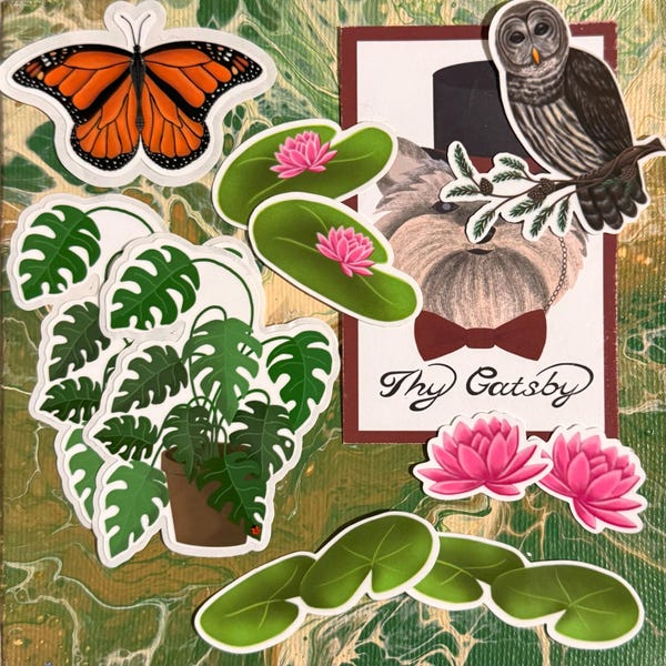 Monarch Butterfly Life Cycle Sticker Pack Set of 6, Butterfly Life ...