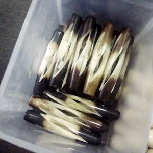 8 Horse Hair Scalp Locks Black or White Native Crafts - Etsy