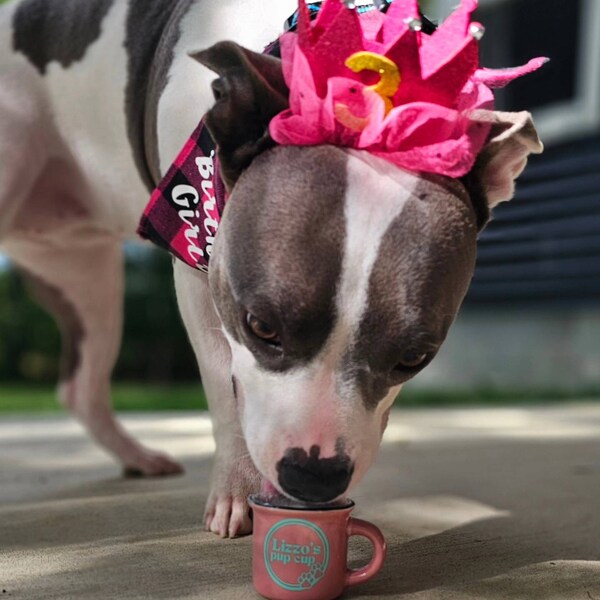 Reusable Pup Cup Custom Puppuccino Mug Dog Mom Gift 2oz Personalized ...