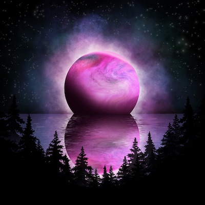 Winter Forest Brush Set for Procreate, Snowy Stamps and Botanical ...