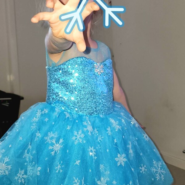 Els Inspired Costume, Els Inspired Dress, Frozen Birthday Girl Outfit ...