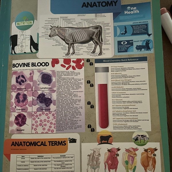 Vet Tech Knowledge (large Animal Edition) Paperback Journal Small and ...
