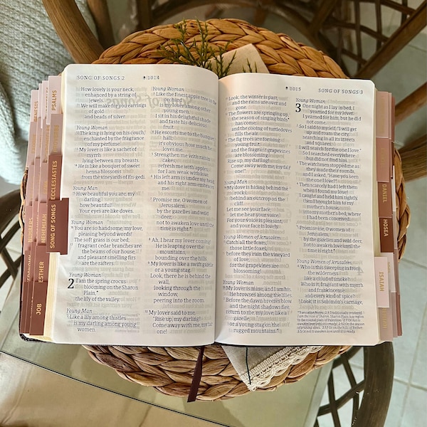 Bible Tabs for Women - Gold Foil Bible Tabs - Earth Tone Bible Stickers ...