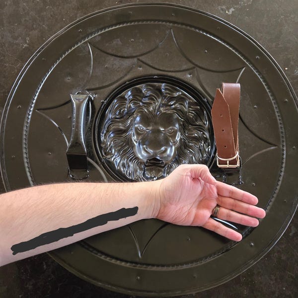 Medieval Eivor Valhalla Raven Authentic Batteworn Viking Shield |crow ...