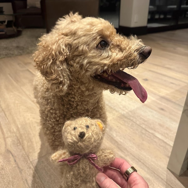 Yarn Made With Your Dog’s or Cat’s Hair! Chiengora, Dog or Cat Hair ...
