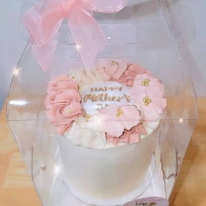 5 Cake and Cupcakes Combo Bento Boxes With Clear Lid and Cupcake Holes ...