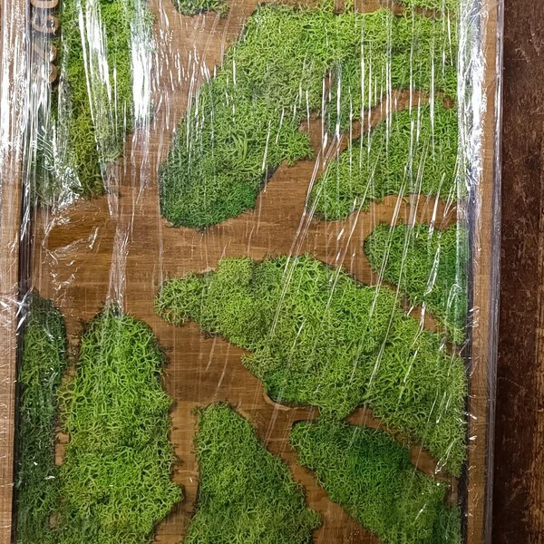 Preserved Moss Tree Wall Decor, Moss Wall Art, Custom Moss Wall Art ...
