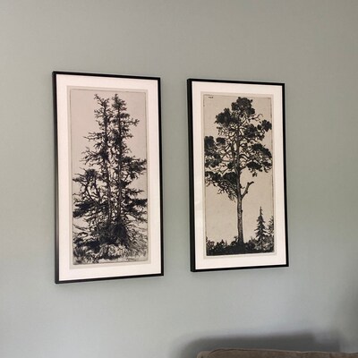 Etching Tree Art Set Tree Sketch Tree Drawing Antique - Etsy