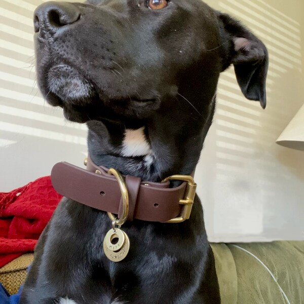 Moon Shadow Rugged Stainless Steel and Brass Dog Tag - Washer Pet ID ...