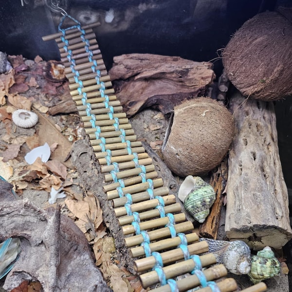 Bamboo Bridge - 2.5" Width - (perfect for Young Crested Geckos, Tree ...