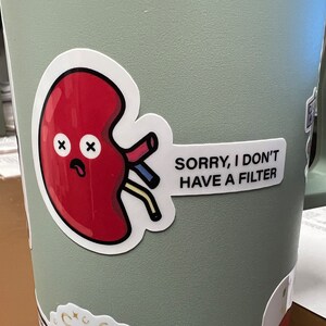 Cute Kidney Sticker/ You've Got to Be Kidney Me/ Kidney Stone/ Medical ...