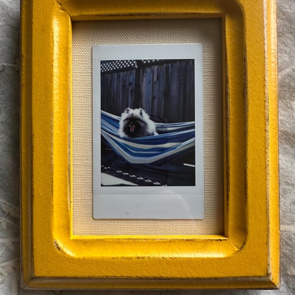 Collage Picture Frame Mat Windows Fit Multiple 5x7 Photos in Foxy Cove ...