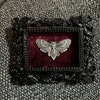 Gothic Unusual Crow Raven Foot in Vintage Style Ornate Frame on Velvet ...