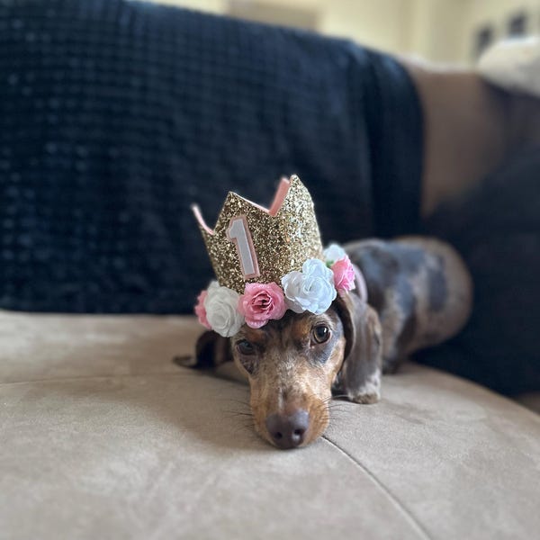 Custom Pet Birthday Crown, Dog Crown, Large Dog Birthday Party Hat ...