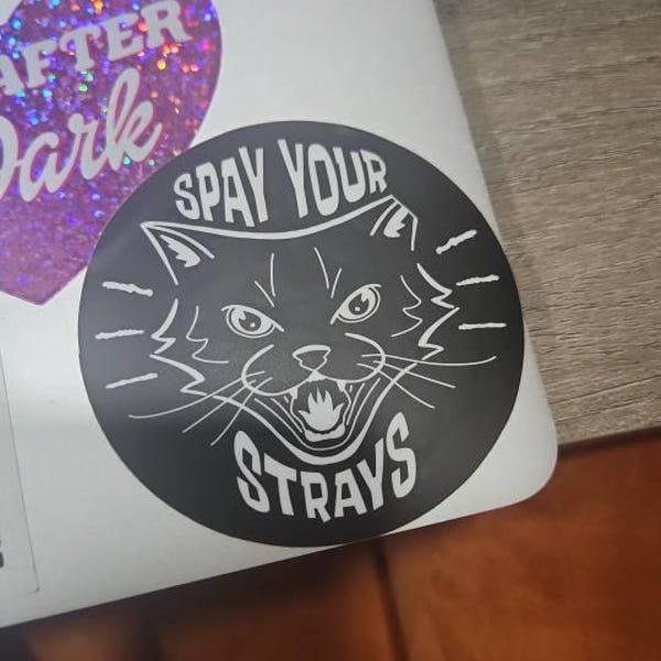 Finn and Jake - Cute Set Adventure Time Vinyl Laminate Sticker - Etsy