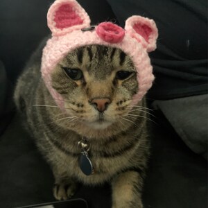 Pink Knitted Yarn Pig Hat for Cat or Small Animal new Design cat ...