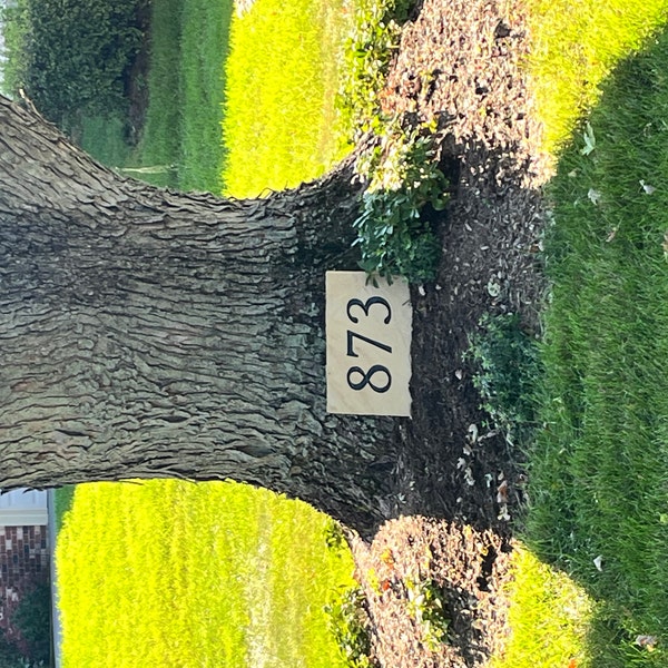 Watermark Buff Custom Engraved Stone for Address Stone 16x10x1.75 ...