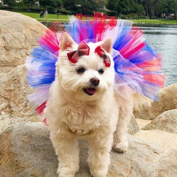 Pink Puppy Tutu, Puppy Tutu, Dog Tutu, Animal Tutu, Dog Clothes, Cat ...