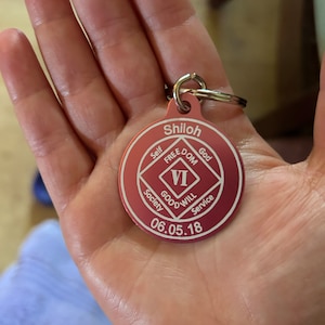 AA Circle & Triangle Vinyl Decal, Vehicle Lettering for Alcoholics ...