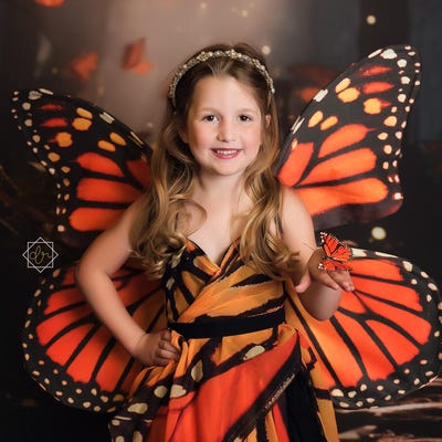 Large Monarch Butterfly Costume Wings Butterfly Halloween Costume - Etsy