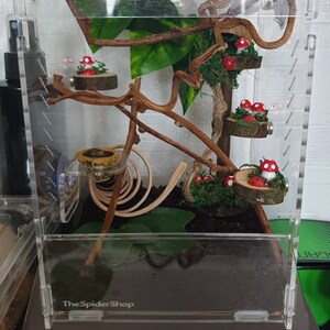 Jumping Spider Sign Post Spooder Lives Here, Spider Hideout Accessories ...