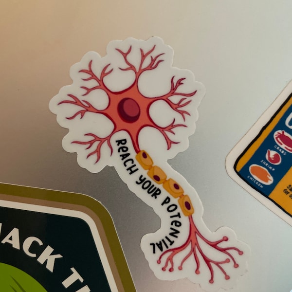 Neuron Potential Medical Sticker - Science Sticker - Medical Office ...