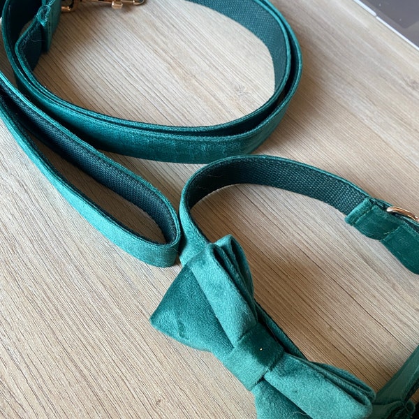 Multiple Colour Velvet Personalise Dog Collar Leash Set With Bow,green ...