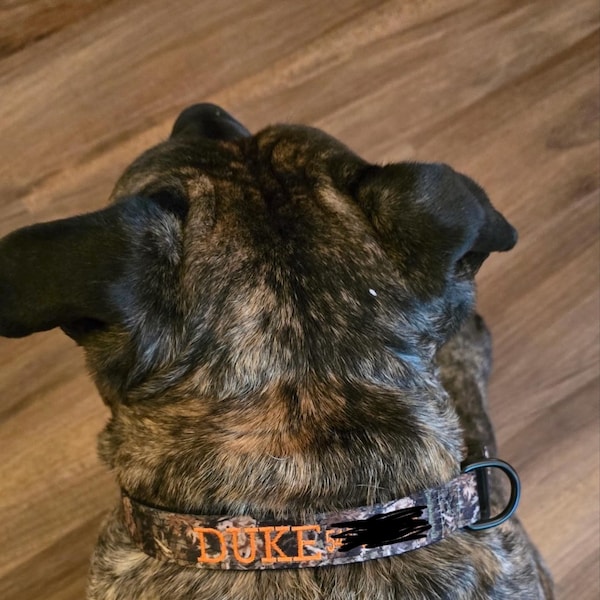 Dog Collars Personalized Dog Collar Embroidered Dog Collar Hunting ...