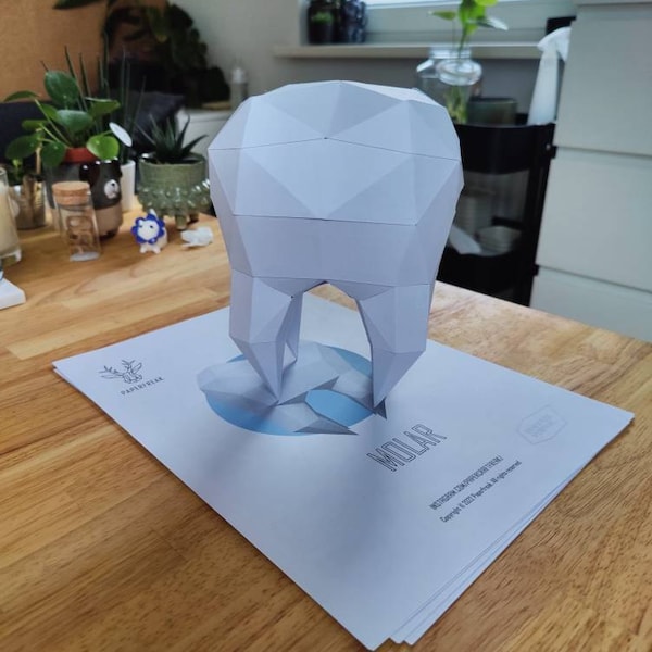 Papercraft 3D TOOTH MOLAR Dental Veneers Low Poly Paper Sculpture Diy ...