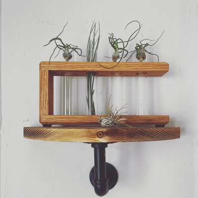 Solid Oak 3 Tube Plant Propagation Station - Etsy