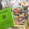 Color Chart With 100 Colors to Choose and Very Handy Color Guide Box ...