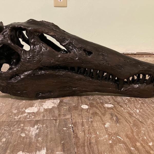 Life Size Museum Quality Parasaurolophus Skull 40-60" - Etsy