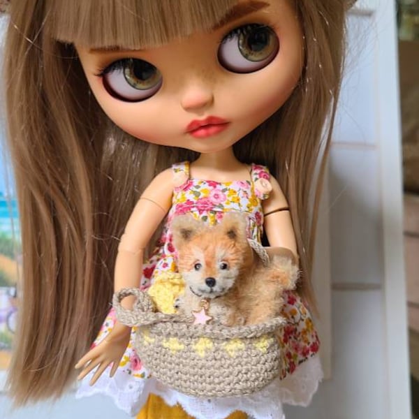 Miniature Realistic Dog Set Maltese Maltipoo Poodle Puppies Ooak Unique ...