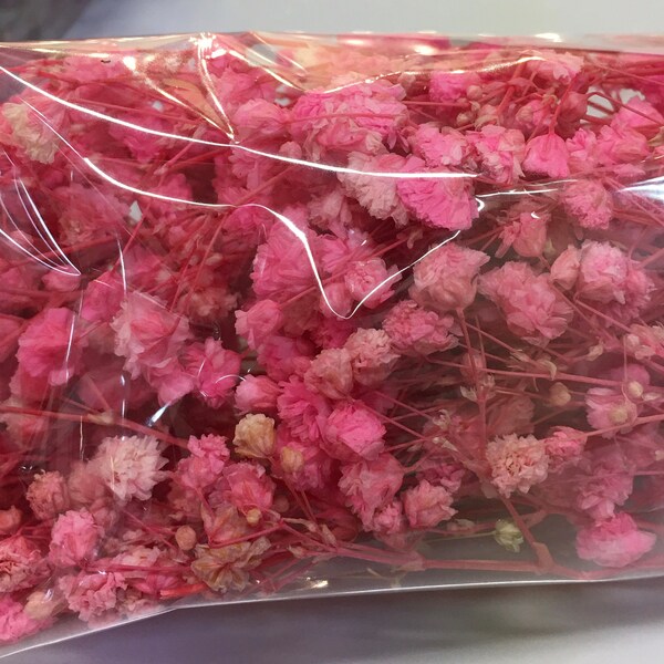 Vintage Pink/purple Limonium Lover Grass Preserved Flowers Caspia Tiny ...