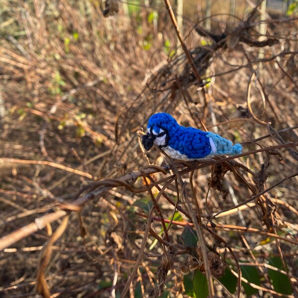 Tiny Birdies Crochet Blue Jay Written Crochet Pattern | Garden Birds ...